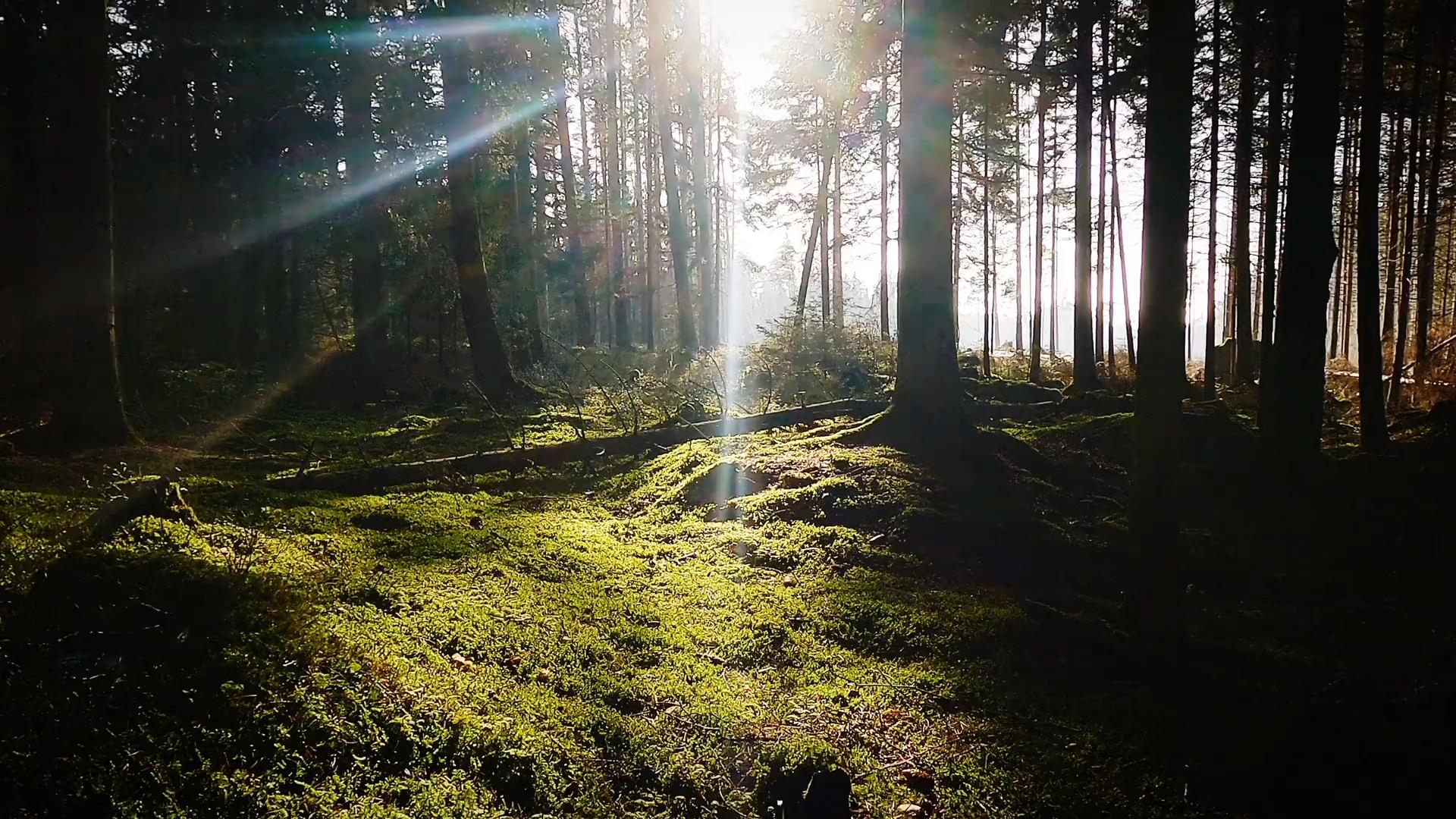 Home - Sacred Soul Studio